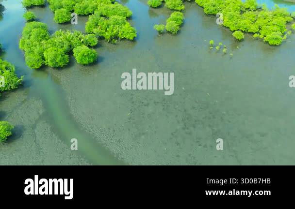 Mangrove river channel winding Stock Videos & Footage - HD and 4K Video ...