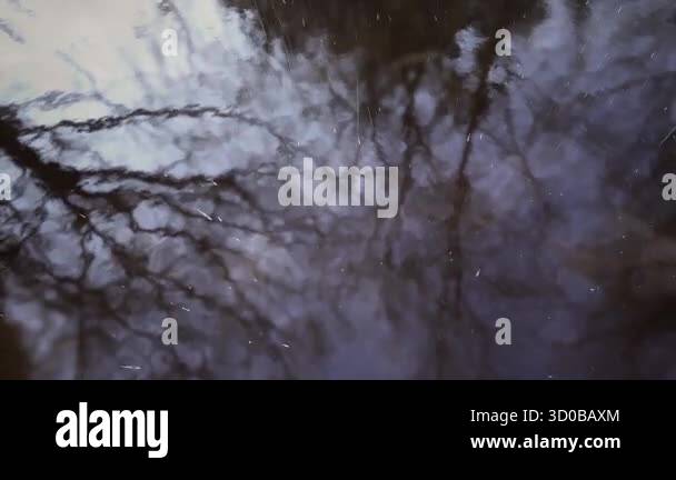 Tree branches and rain reflected in the lake Stock Video Footage - Alamy