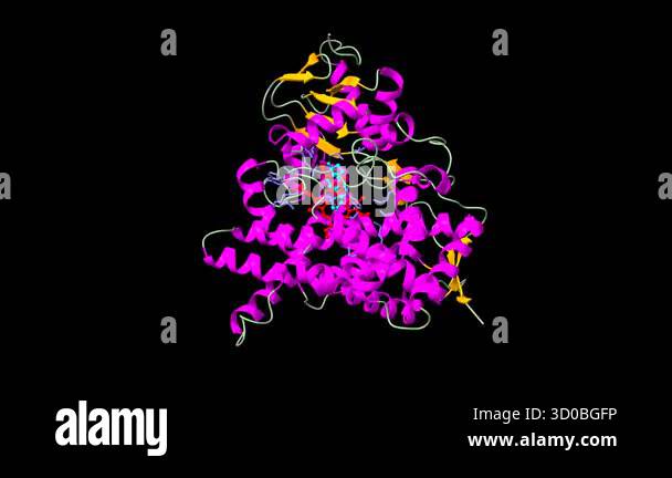 Human placental aromatase cytochrome P450 (CYP19A1) complexed with ...