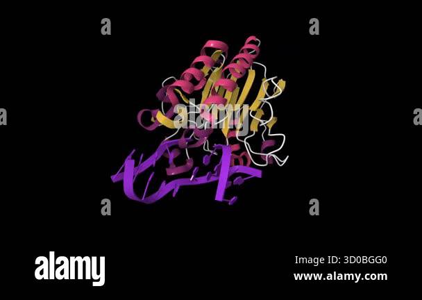 Structure of human APE1 endonuclease with bound abasic DNA. Animated 3D ...