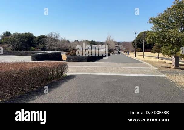 Showa Memorial Park, Japan Tokyo March 2025 Stock Video Footage - Alamy