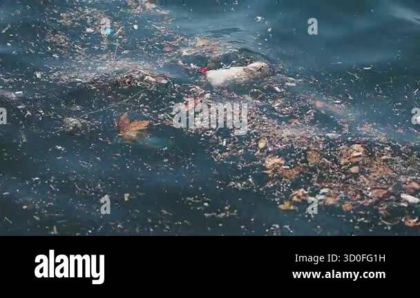 Trash and debris floating on the water surface shows pollution impact ...