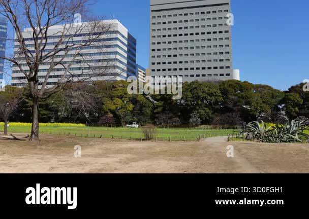 Hama-rikyu Gardens, Japan Tokyo 2025 Stock Video Footage - Alamy