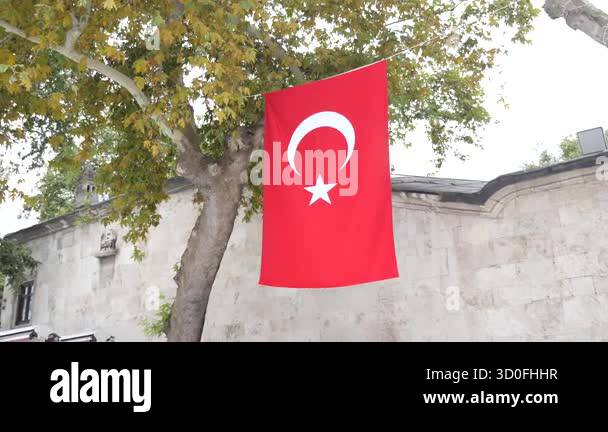 Turkish flag on tree Stock Videos & Footage - HD and 4K Video Clips - Alamy