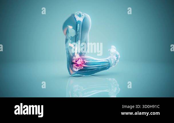 Visualizing human arm anatomy model Stock Video Footage - Alamy