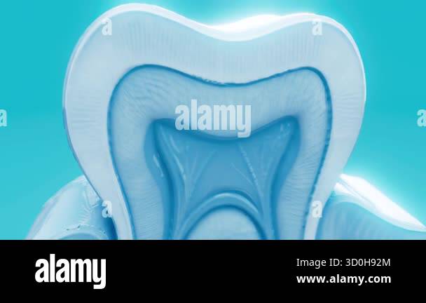 Illustrating detailed tooth anatomy layers Stock Video Footage - Alamy