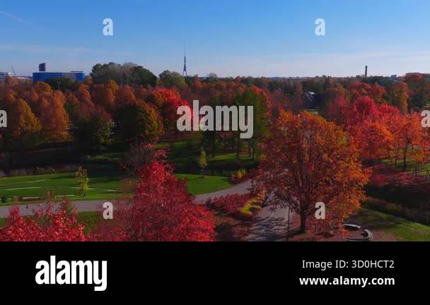 Aerial view sweeps over a Riga city park in golden autumn. Treetops ...