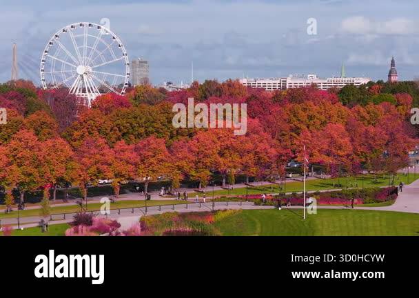 National tree in latvia Stock Videos & Footage - HD and 4K Video Clips ...