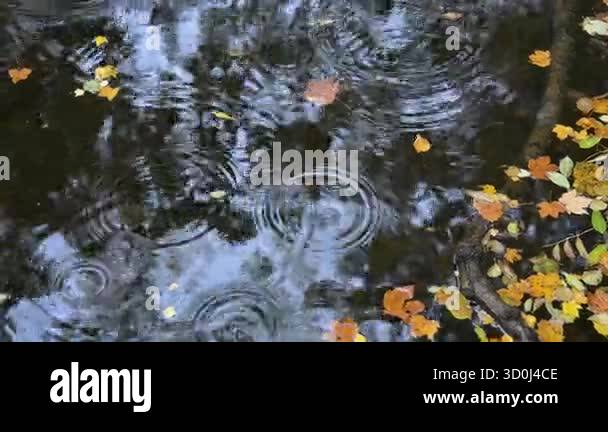 11-second 4K video. Smooth vertical camera movement reveals a dark ...