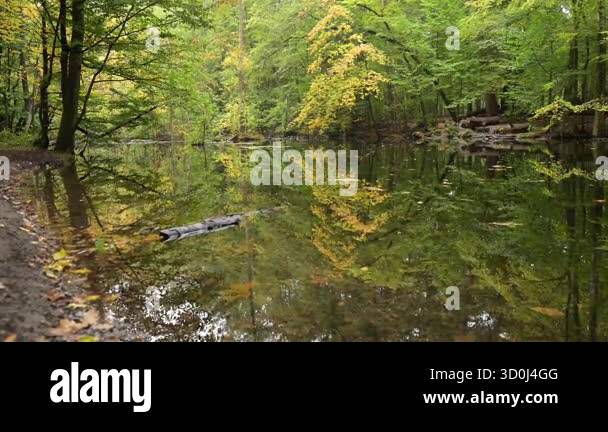 High-resolution 4K video. A slow left-to-right camera movement captures ...