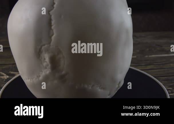 Realistic human skull on a rotating stand Stock Video Footage - Alamy