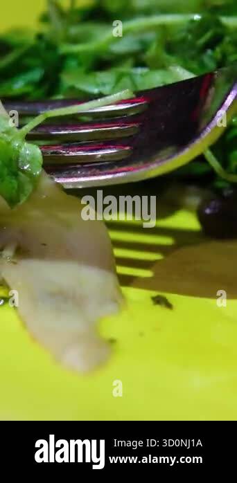Elegant king trumpet carpaccio on a red plate topped with microgreens ...
