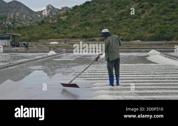 Senior Asian worker in shirt harvests salt with shovel on evaporation ...