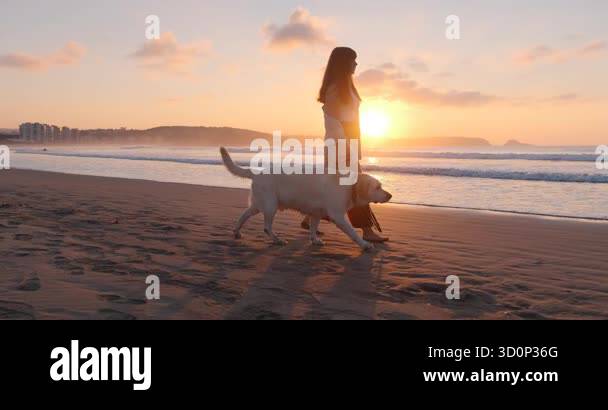 Slow motion silhouette of a woman walking her labrador dog along the ...
