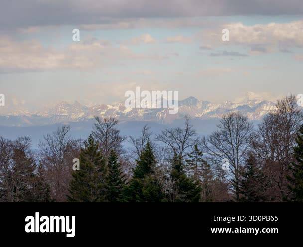 Horizontal timelapse of the Swiss Alps on a warm spring evening. Trees ...