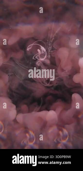 Vertical video. Ink drop explosion. Paint water. Defocused purple color ...