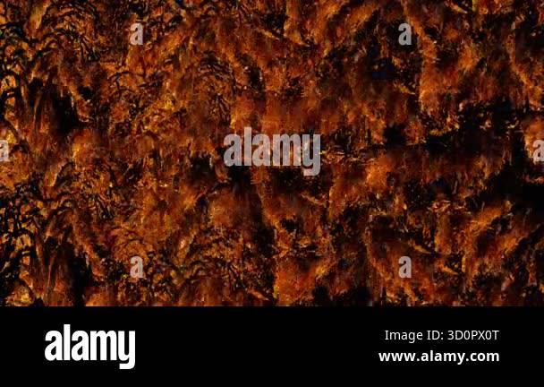Animated abstract fire texture in seamless loop. Perfect for motion ...