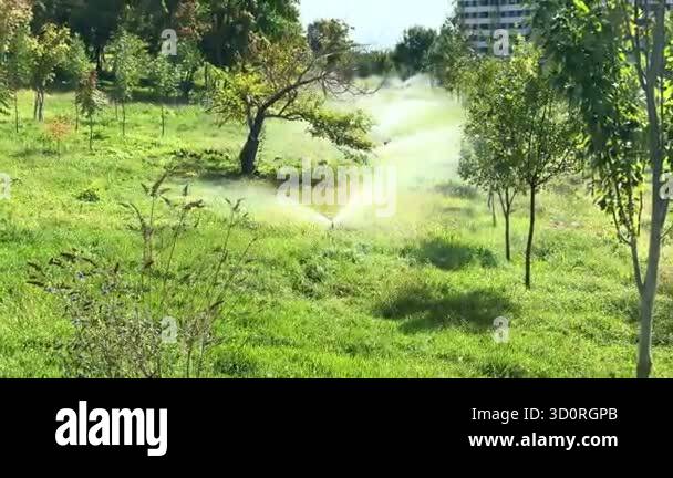 Tree trunk in the foreground of a park lawn. Grass watering. Smart ...
