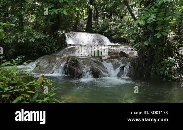 Water stream flowing from the cascade surrounded by green plants under ...