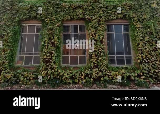 Brick ivy league building Stock Videos & Footage - HD and 4K Video ...