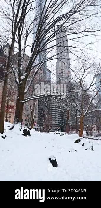 Snow covers trees buildings Stock Videos & Footage - HD and 4K Video ...
