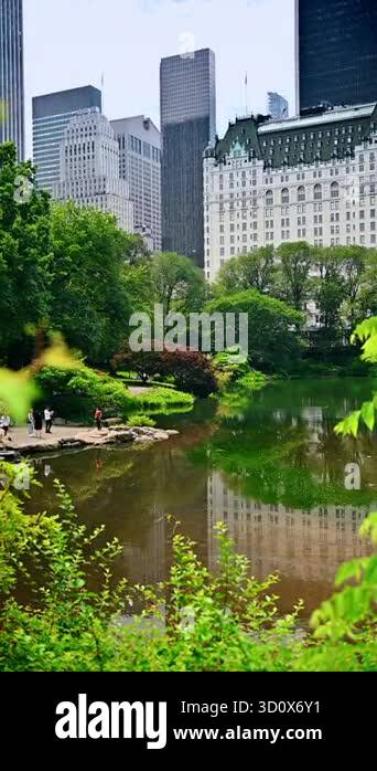 Central Park pond with Plaza Hotel and skyscrapers in New York City ...