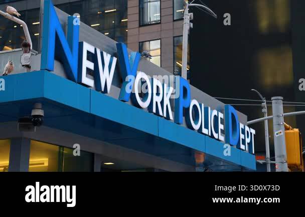 New York Police Department sign with pigeons on top in Times Square ...