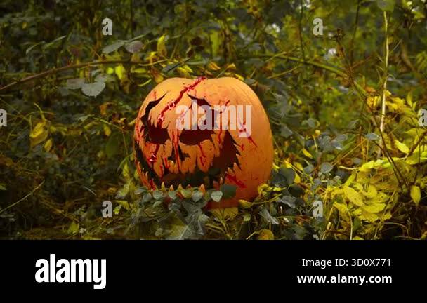 Bloody sinister pumpkin grinning with demonic fury in shadowy forest ...