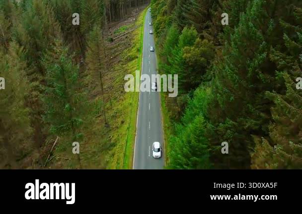 Cars driving through long forest road between green hills and trees ...