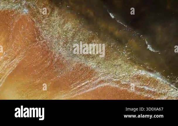 Shallow wave touching golden sandy beach. Sea foam sparkling on smooth ...