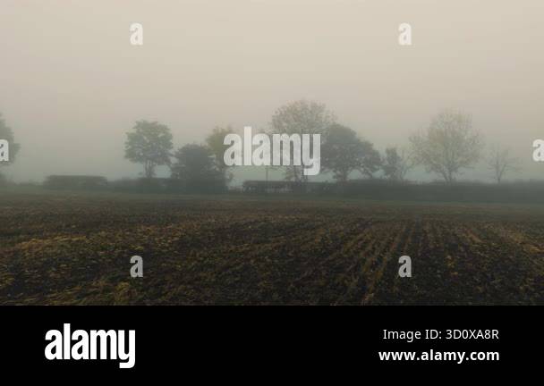 Foggy rural landscape with plowed autumn field and trees fading into ...