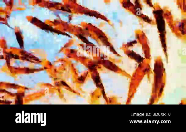 Vibrant small fish swimming dynamically in clear water, creating an ...