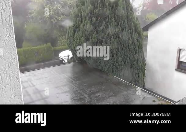 rain storm shaking a tree between houses Stock Video Footage - Alamy