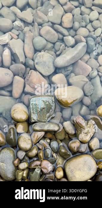 The bank of a mountain river is covered with river pebbles. The clear ...