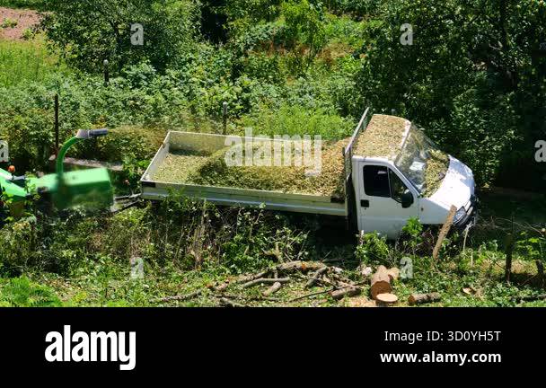 The woodchipper machine breaks tree branches into smaller woodchips and ...