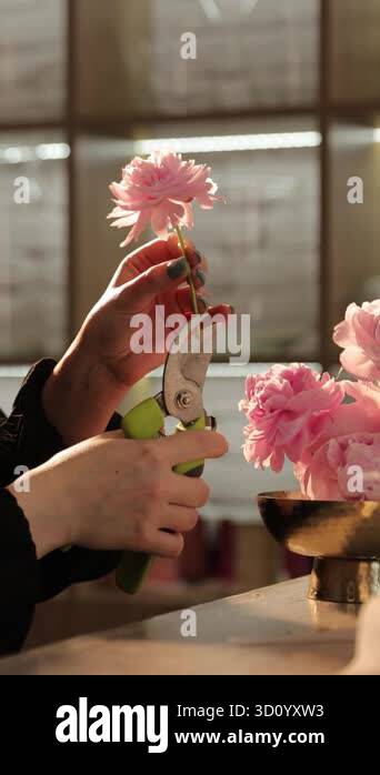 A florist creates stunning floral arrangements using precise cutting ...