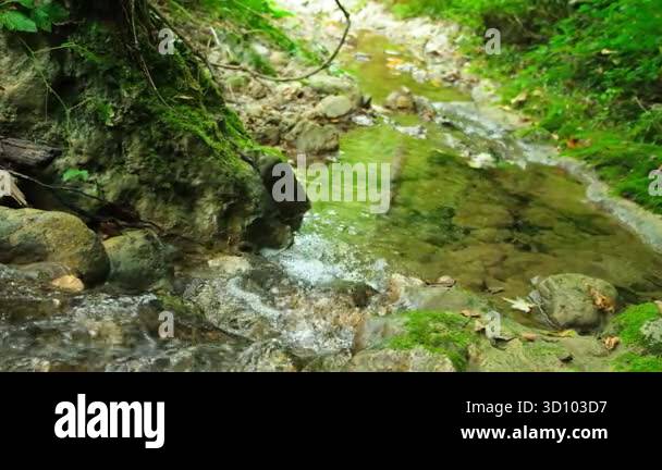 Mountain Stream, Water Flow Slow Motion Stock Video Footage - Alamy