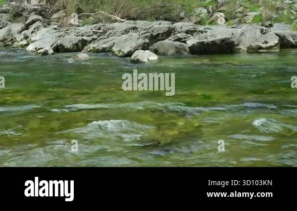 Turbulent Water Flow of Fast River, Nature Scene Stock Video Footage ...