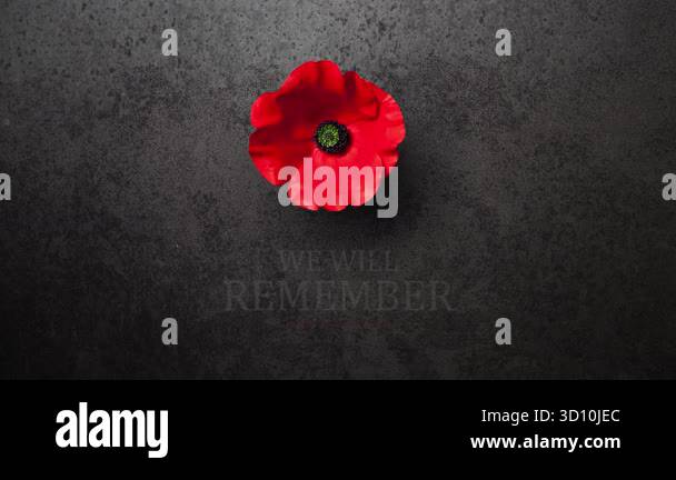 We Will Remember 11th November inscription with Poppy flower on rusty ...