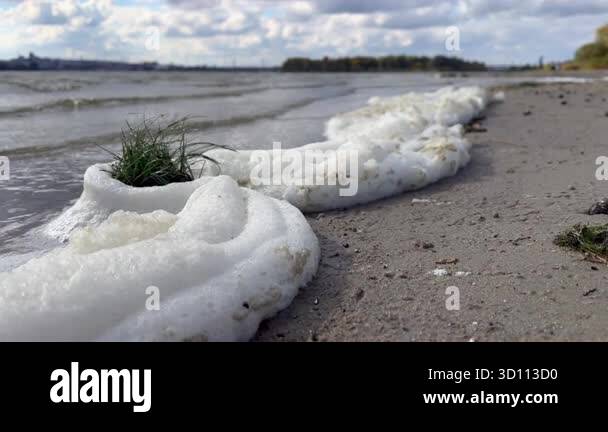 Close-up of white chemical foam from polluted water washing ashore on a ...