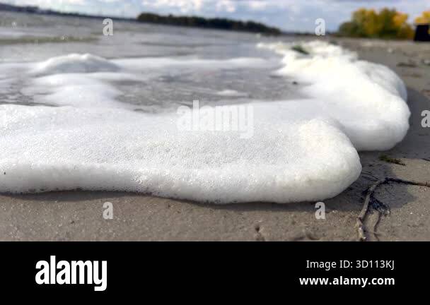 Close up view of white foam forming on the sandy shore of a river due ...