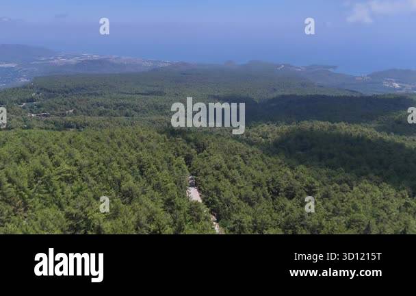 A drone glides smoothly above a dense green forest, revealing a ...