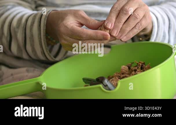 The Woman Who Breaks Walnuts Eats With An Appetite Stock Video Footage ...