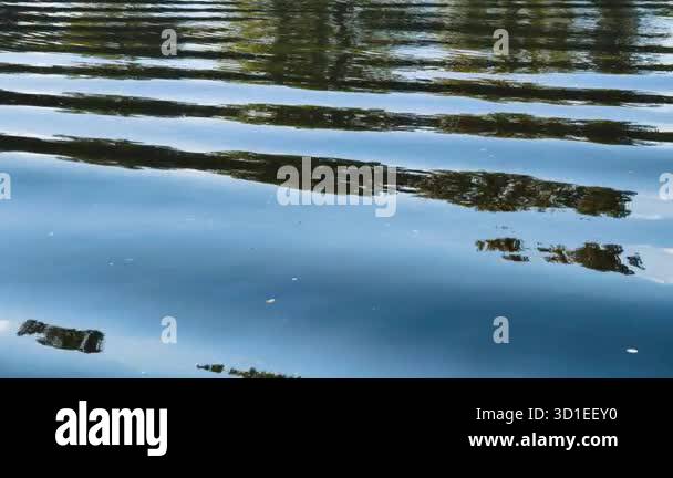 Water surface reflections trees mirror Stock Videos & Footage - HD and ...
