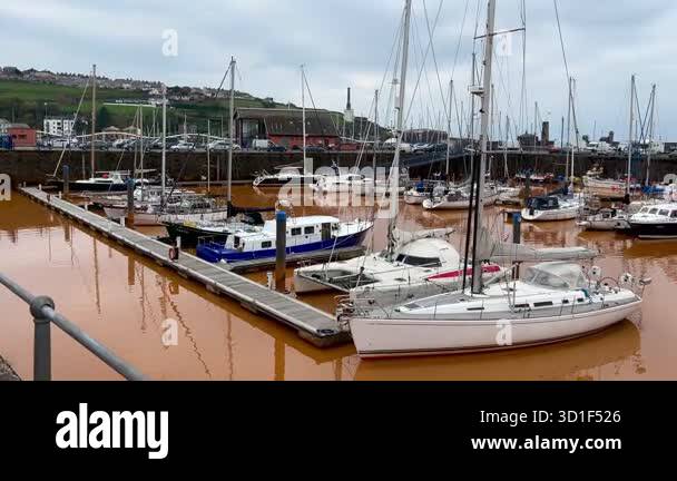 The brown water in the Queens Dock at Whitehaven in Cumbria, on the ...