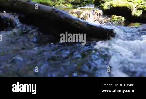 Closeup of a stream of water flows over a rock covered in moss and ...