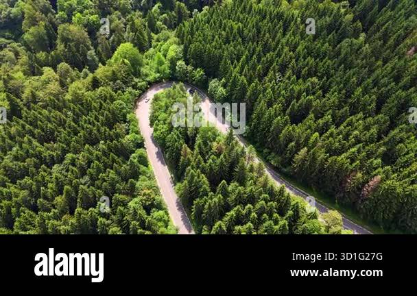 Road loop in the pine tree woods. Drone footage above the lush ...