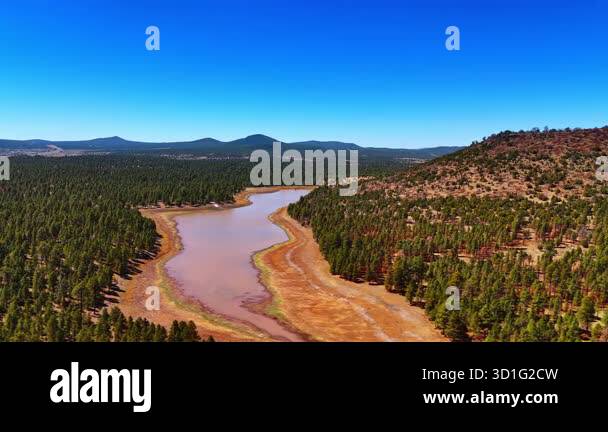 Open dry forests Stock Videos & Footage - HD and 4K Video Clips - Alamy