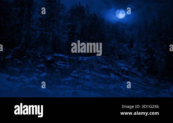 Forest Cliffs In Snowfall At Night Stock Video Footage - Alamy