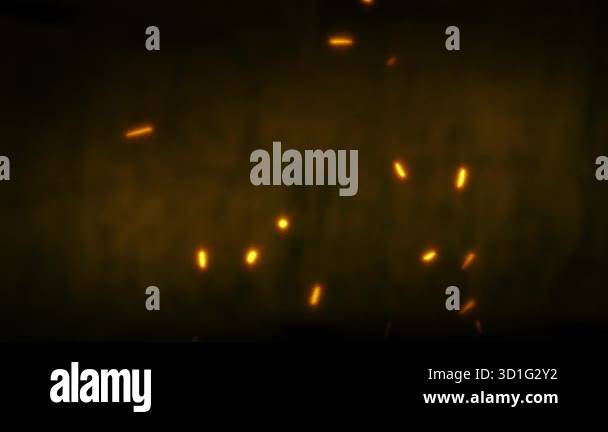 Flies Buzzing Around In The Sunlight At Dusk Stock Video Footage - Alamy